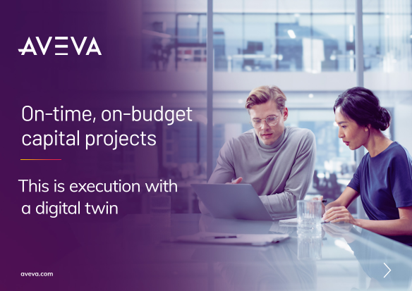 Project Management | CIO